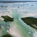 Cabo Catoche Snorkel And Fishing - Why Small Groups and Professional Guides Matter