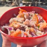 Cabo Catoche Tour with Fishing, Snorkeling and Ceviche - The Sum Up