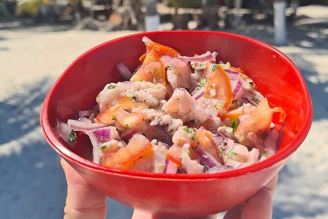 Cabo Catoche Tour with Fishing, Snorkeling and Ceviche - The Sum Up