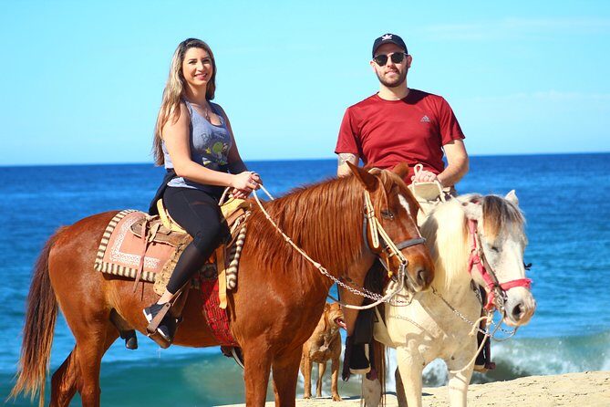Cabo Desert Off-Road & Beach Horseback Combo and Tequila Tasting - What to Expect: A Detailed Breakdown of the Experience