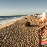 Cabo Lifestyle Photoshoot - The Itinerary and What to Expect