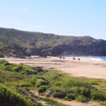 Cabo Migrino Beach & Desert Tour (Quad UTV) - Authentic Experiences & Reviews