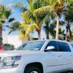 Cabo Private Transportation to Cabo - Detailed Breakdown of the Experience