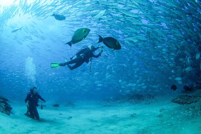 Cabo Pulmo 2 Tank Certified Dive with Lunch - Why Divers Keep Coming Back