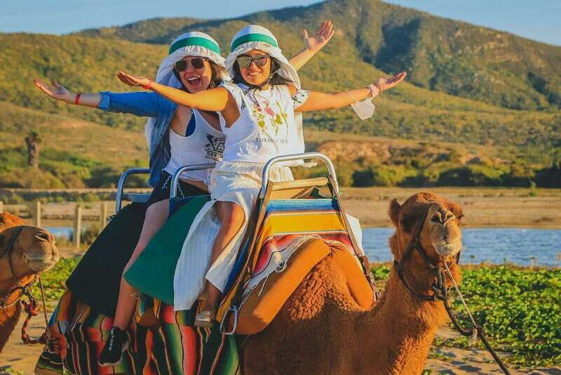 Cabo San Lucas: ATV/Camel/Horse Combo Tour - Who Would Love This Experience?