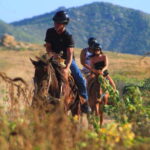 Cabo San Lucas: Beach & Desert Horseback Riding Tour - Authentic Experiences that Leave a Mark