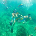 Cabo San Lucas: Beach Hopper Small-Group Snorkeling Tour - The Real Value: What Makes This Tour Stand Out?