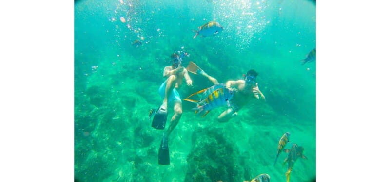 Cabo San Lucas: Beach Hopper Small-Group Snorkeling Tour - The Real Value: What Makes This Tour Stand Out?