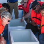 Cabo San Lucas Boat Tour - What Do Real Travelers Say?