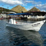 Cabo San Lucas: boat tour around the peninsula and stay at the beach - Who Is This Tour Best Suited For?