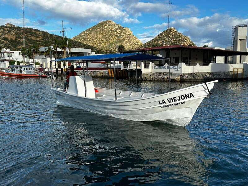 Cabo San Lucas: boat tour around the peninsula and stay at the beach - Who Is This Tour Best Suited For?