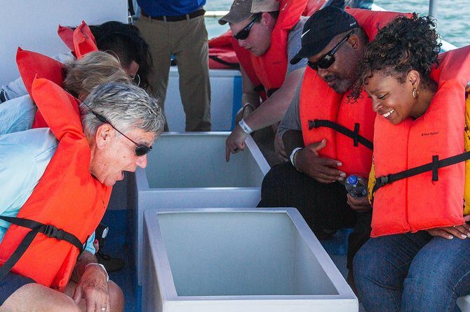 Cabo San Lucas Boat Tour - What Do Real Travelers Say?