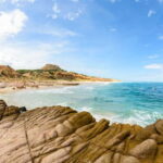 Cabo San Lucas: Cabo Pulmo Snorkeling Expedition - Exploring Cabo Pulmo Marine Park