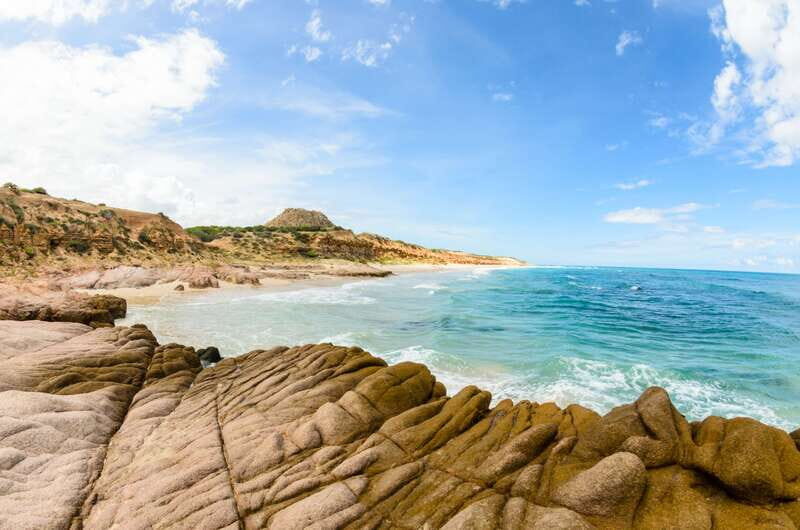 Cabo San Lucas: Cabo Pulmo Snorkeling Expedition - Exploring Cabo Pulmo Marine Park