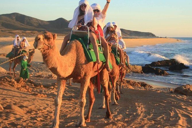 Cabo San Lucas Camel Ride and Encounter on Beach and Desert - The Practical Details: What Travelers Can Expect