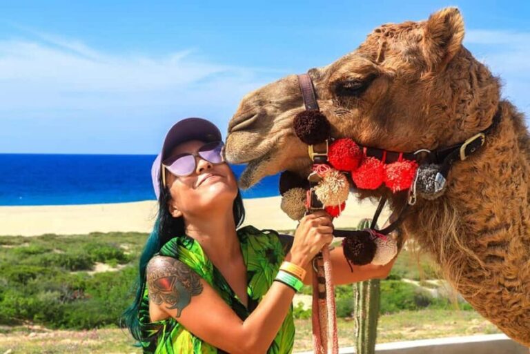 Cabo San Lucas: Camel Ride on the Beach - Who Should Consider This Tour?