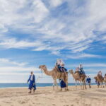 Cabo San Lucas: Camel Safari Tour with Lunch and Tequila - The Details of the Itinerary