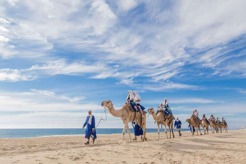 Cabo San Lucas: Camel Safari Tour with Lunch and Tequila - The Details of the Itinerary