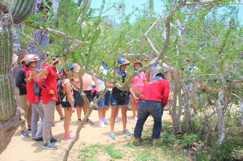Cabo San Lucas: Candelaria Village ATV Tour - The Real Experience—What Travelers Say