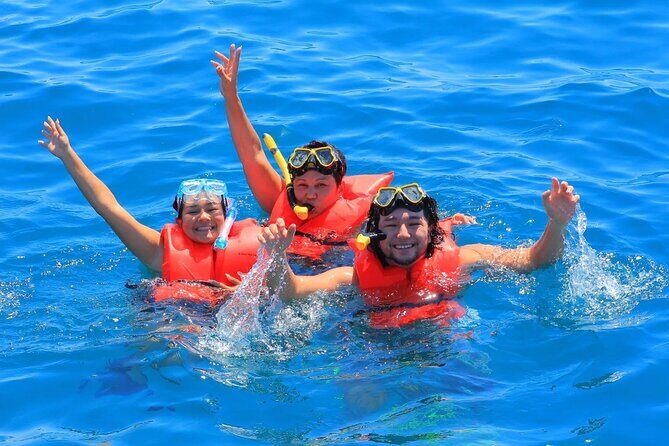 Cabo San Lucas Catamaran: Snorkel, Open Bar & Scenic Cruise - Authentic Experiences and Important Details