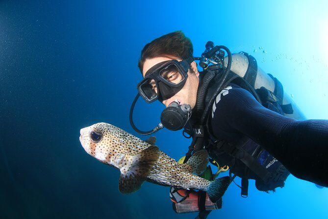 Cabo San Lucas Certified 2 Tank Dive at the Famous Arch and Land's End - Equipment & Additional Costs