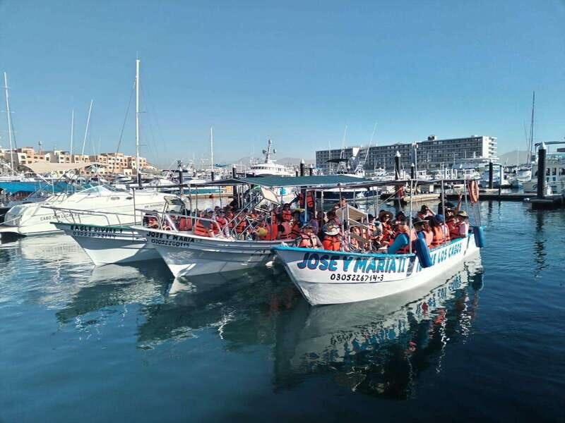 Cabo San Lucas: Classic Tour to the Arch in Glass Bottom - Authentic Insights from Reviews
