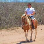 Cabo San Lucas :Combo ATV&Horseback riding with transfer - What Travelers Say: Authentic Voices