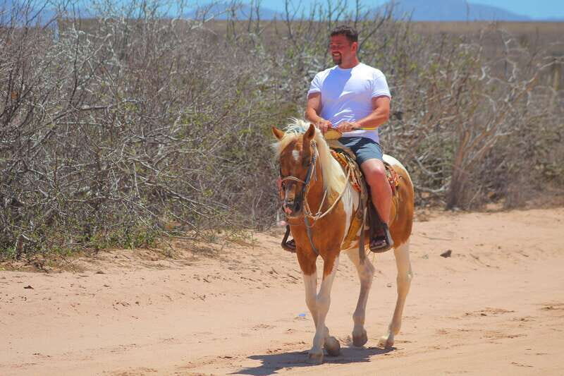 Cabo San Lucas :Combo ATV&Horseback riding with transfer - What Travelers Say: Authentic Voices