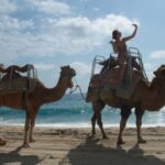 Cabo San Lucas: Combo Vehicle plus Camel or Horse Tour - The Value of the Experience