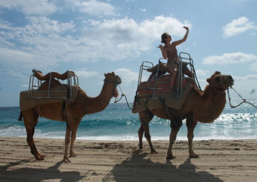 Cabo San Lucas: Combo Vehicle plus Camel or Horse Tour - The Value of the Experience