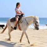 Cabo San Lucas: Desert ATV & Beach Horseback Combo - An In-Depth Look: Why This Tour Matters for Your Cabo Visit