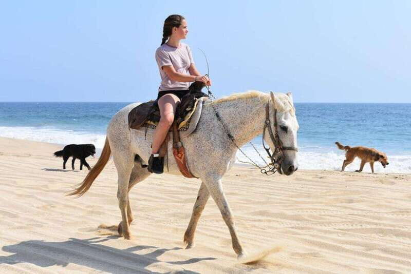 Cabo San Lucas: Desert ATV & Beach Horseback Combo - An In-Depth Look: Why This Tour Matters for Your Cabo Visit
