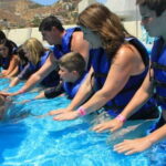 Cabo San Lucas: Dolphin Swim Class with Marine Specialist - Value and Practicality
