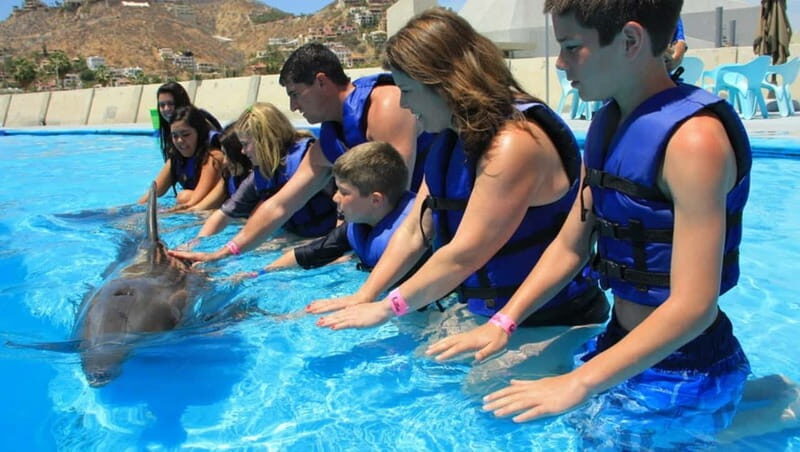 Cabo San Lucas: Dolphin Swim Class with Marine Specialist - Value and Practicality