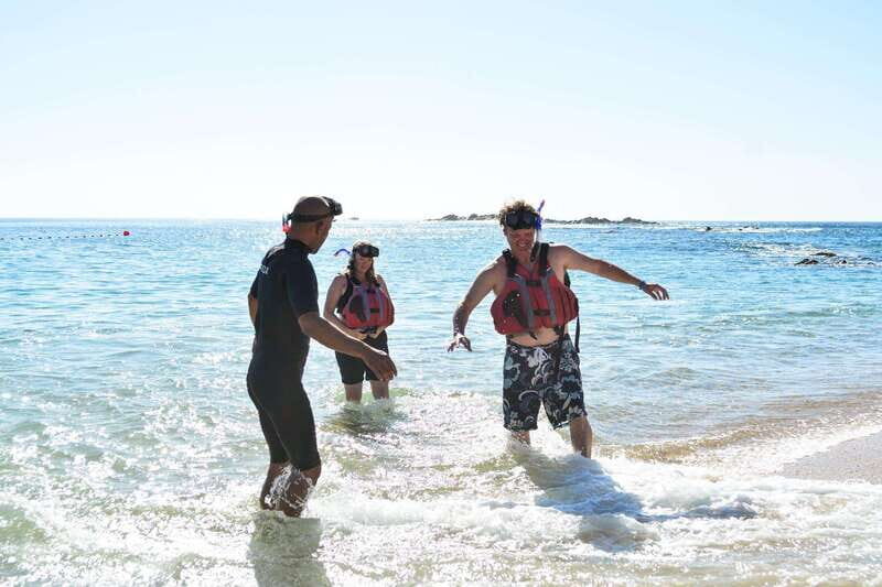 Cabo San Lucas: Guided Snorkeling Tour with Transportation - Practical Considerations