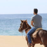 Cabo San Lucas: Horseback Riding Adventure - Practical Tips for Participants