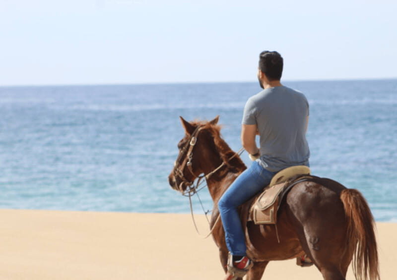 Cabo San Lucas: Horseback Riding Adventure - Practical Tips for Participants