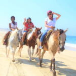Cabo San Lucas: Horseback Riding Corredor Turistico - The Itinerary in Detail