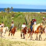 Cabo San Lucas: Horseback Riding in Migriño with Transfers - The Itinerary Breakdown