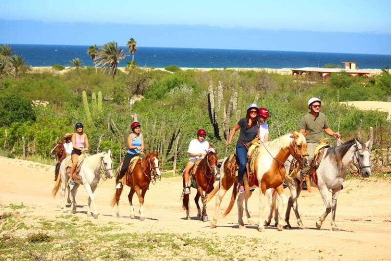 Cabo San Lucas: Horseback Riding in Migriño with Transfers - The Itinerary Breakdown