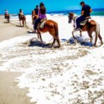 Cabo San Lucas: Horseback Riding on the Beach Experience - Who Will Love This Experience?