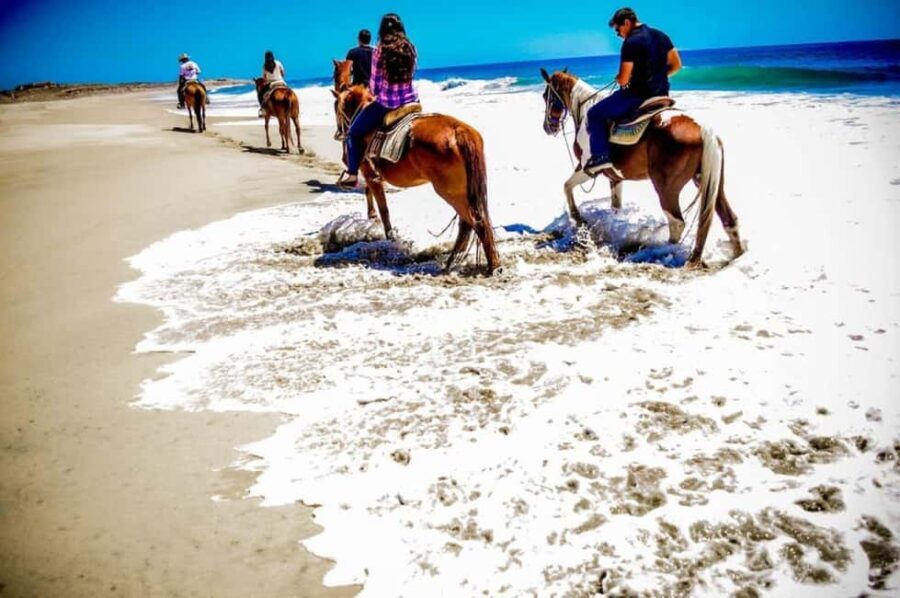 Cabo San Lucas: Horseback Riding on the Beach Experience - Who Will Love This Experience?