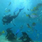 Cabo San Lucas: Marine Reserve Dive - What to Expect from the Tour