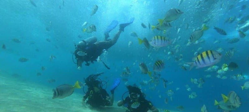Cabo San Lucas: Marine Reserve Dive - What to Expect from the Tour