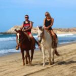 Cabo San Lucas: Migriño Horseback Riding Adventure - Wildlife and Seasonal Highlights