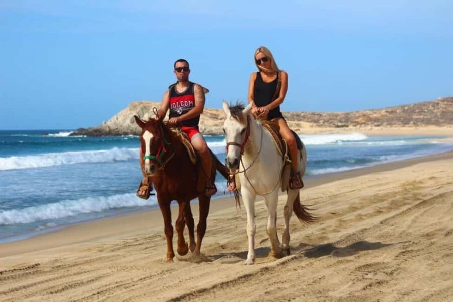 Cabo San Lucas: Migriño Horseback Riding Adventure - Wildlife and Seasonal Highlights