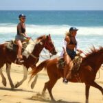 Cabo San Lucas: Migriño Horseback Riding and Tequila Tour - Key Points