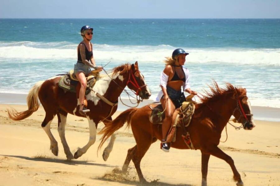 Cabo San Lucas: Migriño Horseback Riding and Tequila Tour - Key Points