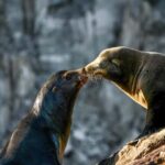 Cabo San Lucas: Private Sunset Cruise - The Itinerary and Experience