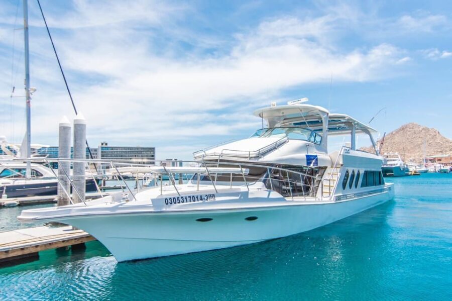 Cabo San Lucas: Private Yacht Events - The Itinerary and Highlights